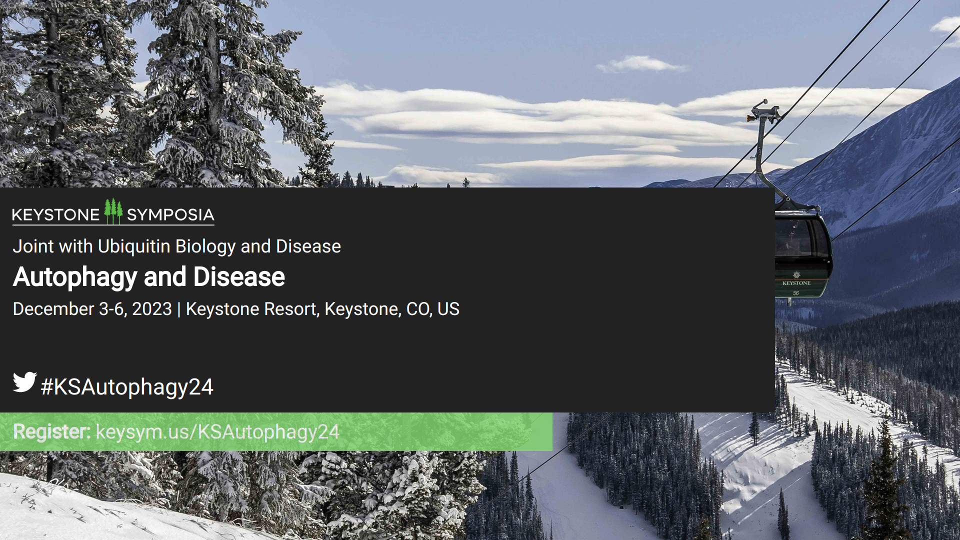 Autophagy and Disease | Keystone Symposia | Digital Toolkit